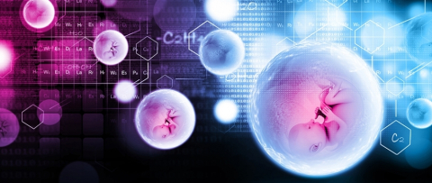 Developmental Biology | Life Sciences Complex - McGill University